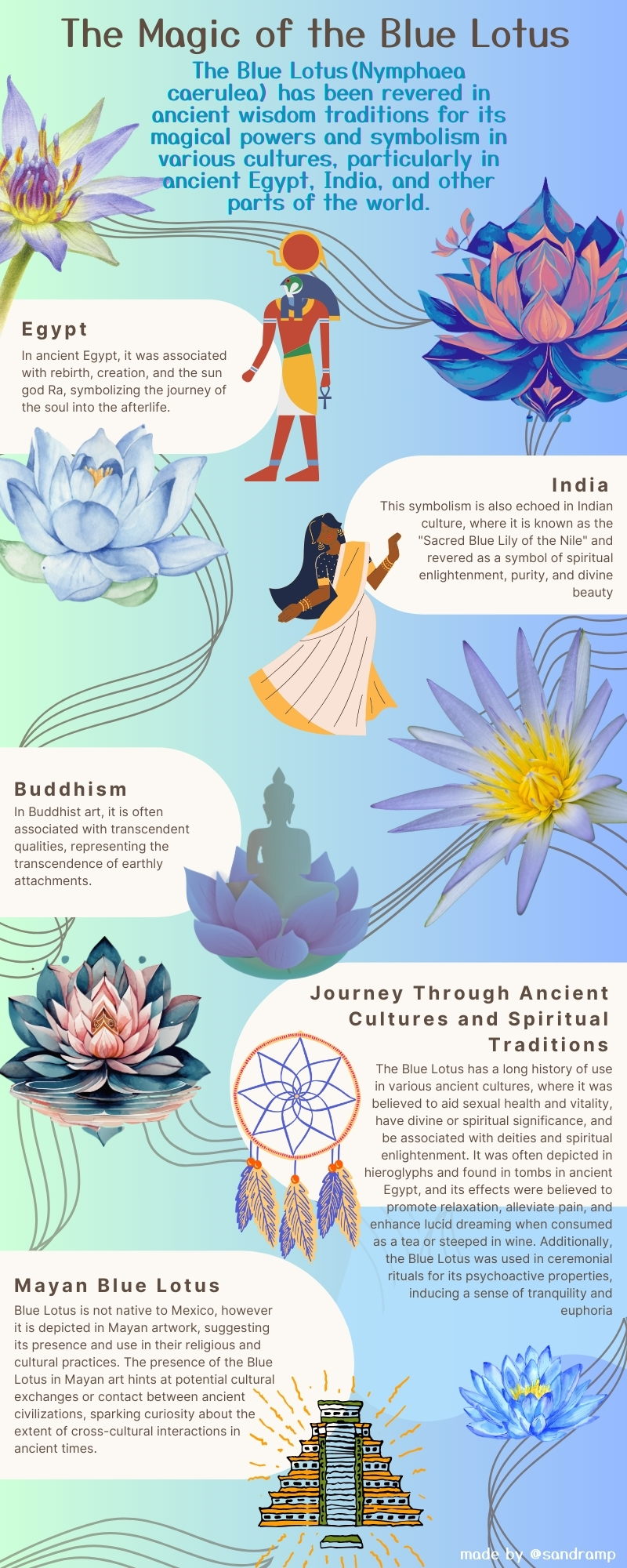 Blue Lotus Flower Symbolism