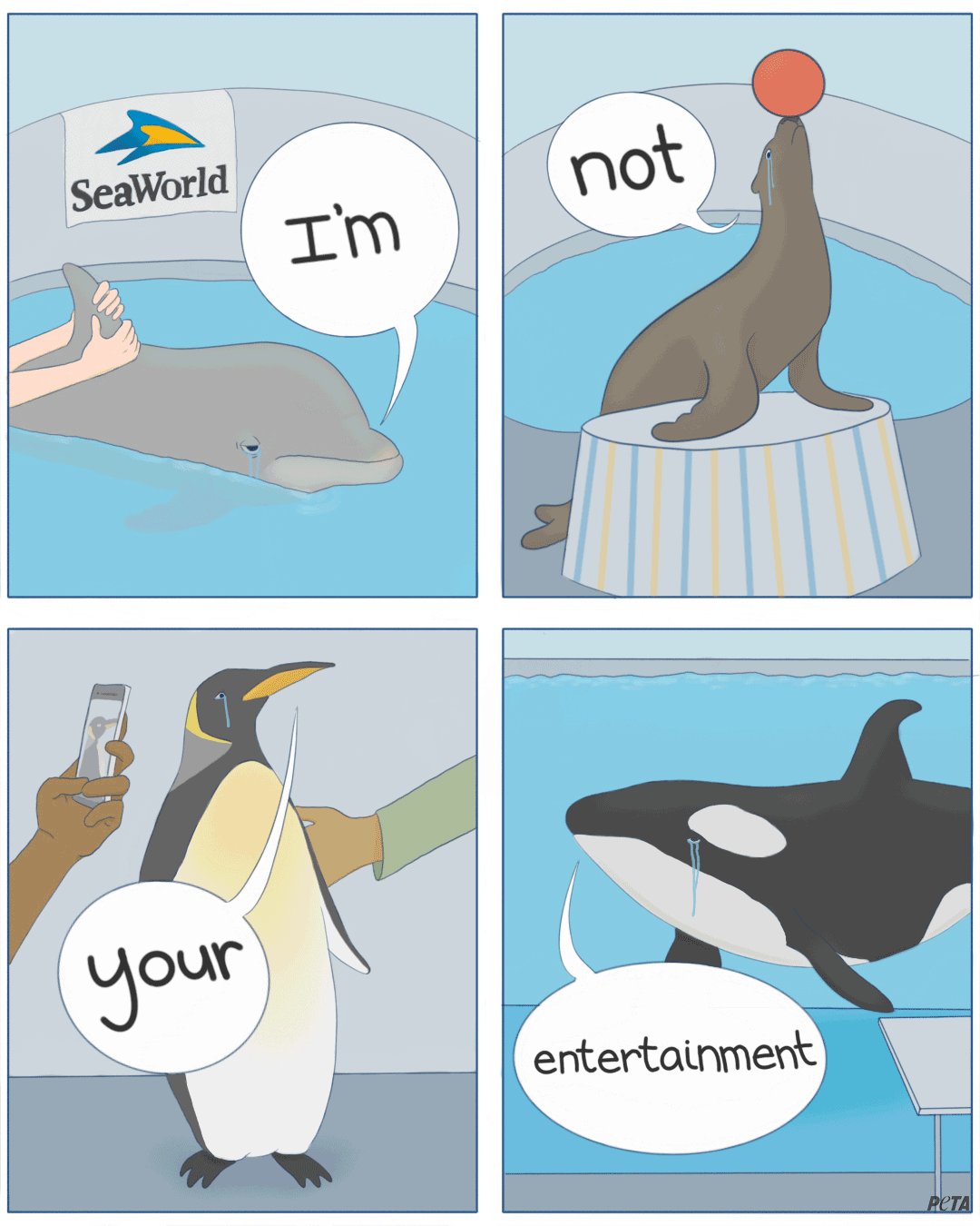 Seaworld Orca Memes Orca Trends – Y'all Heard?
