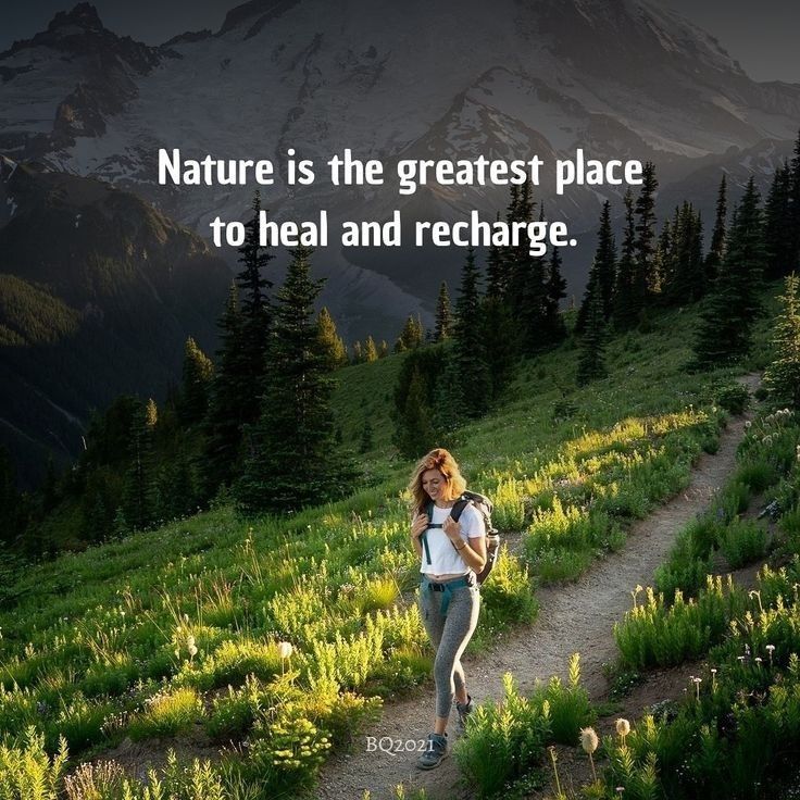 Nature Heals Quotes 115 Heal Quotes Stock Photos Free & Royalty Free