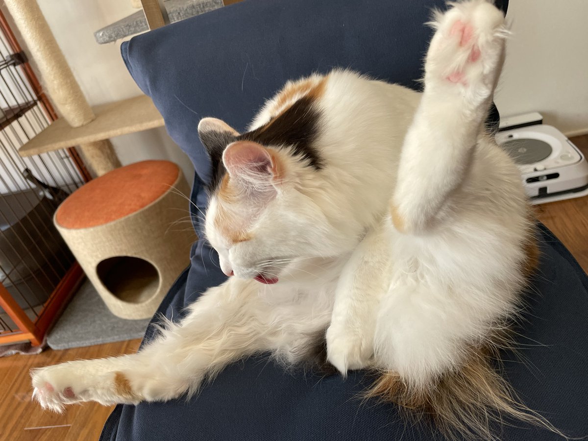 Masataka HIGUCHI(@HIGUCHI_MA) - Twilog (ツイログ)