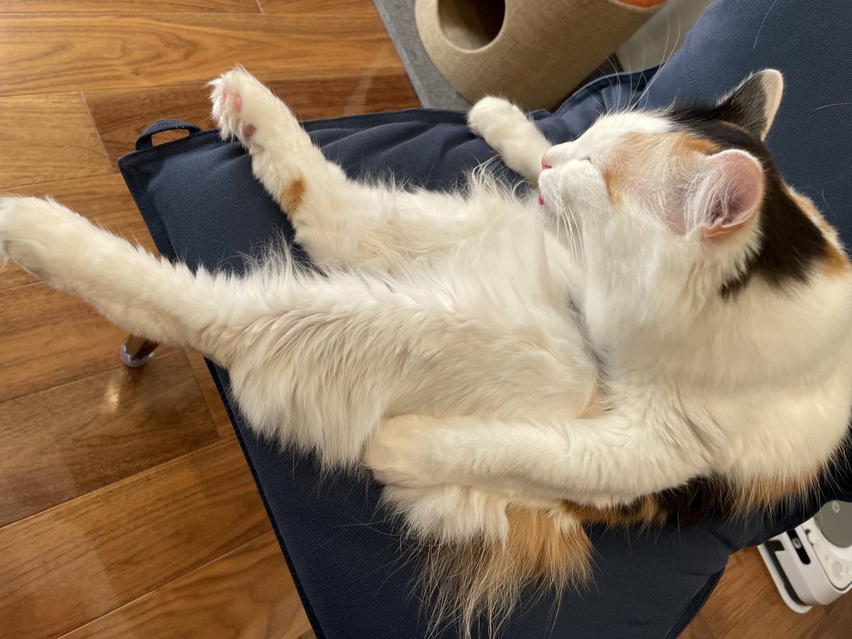 Masataka HIGUCHI(@HIGUCHI_MA) - Twilog (ツイログ)