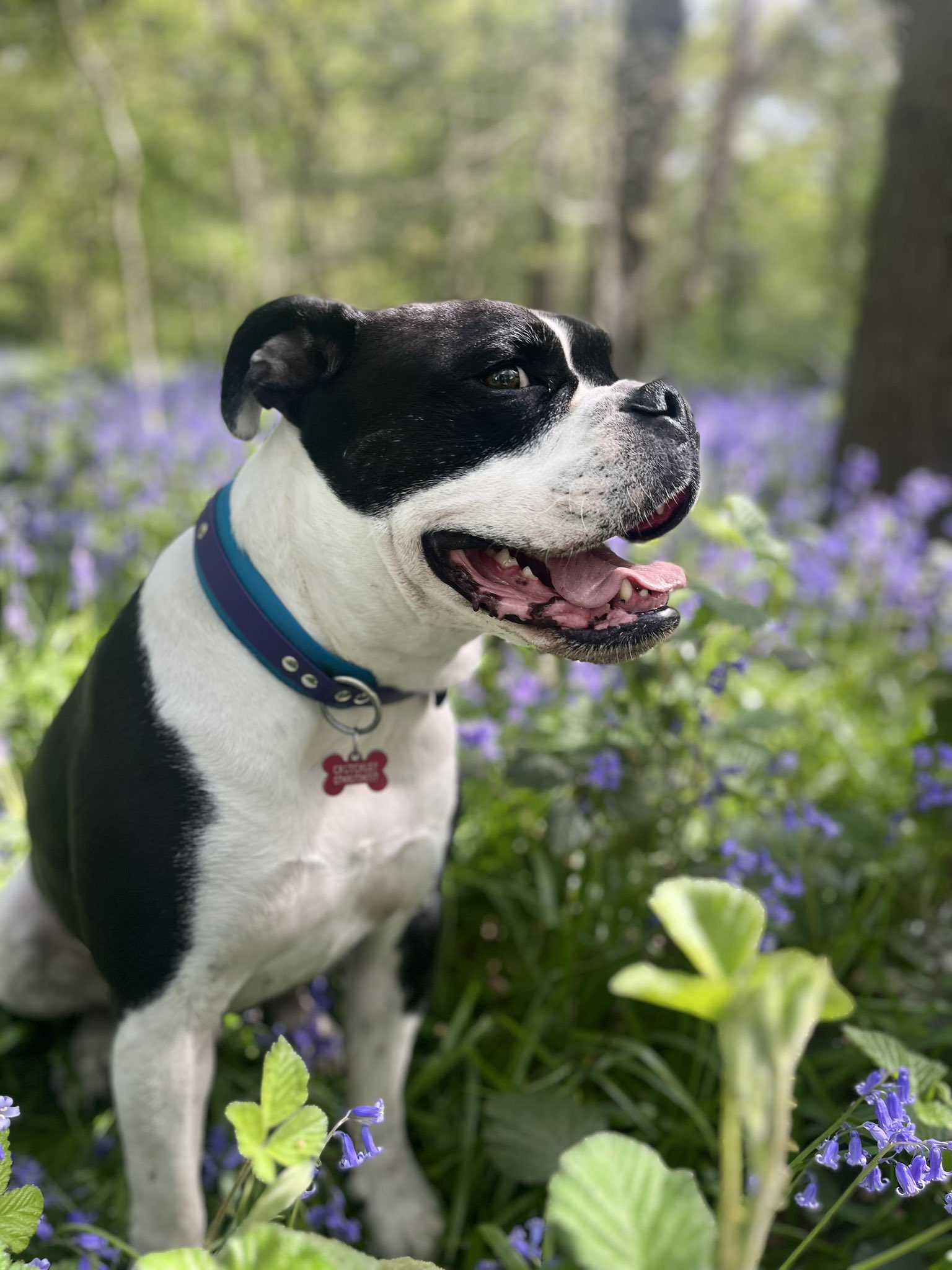 Lottie Lalay pics f/m - Page 18 - Male vs Female | The Mixed Wrestling ...