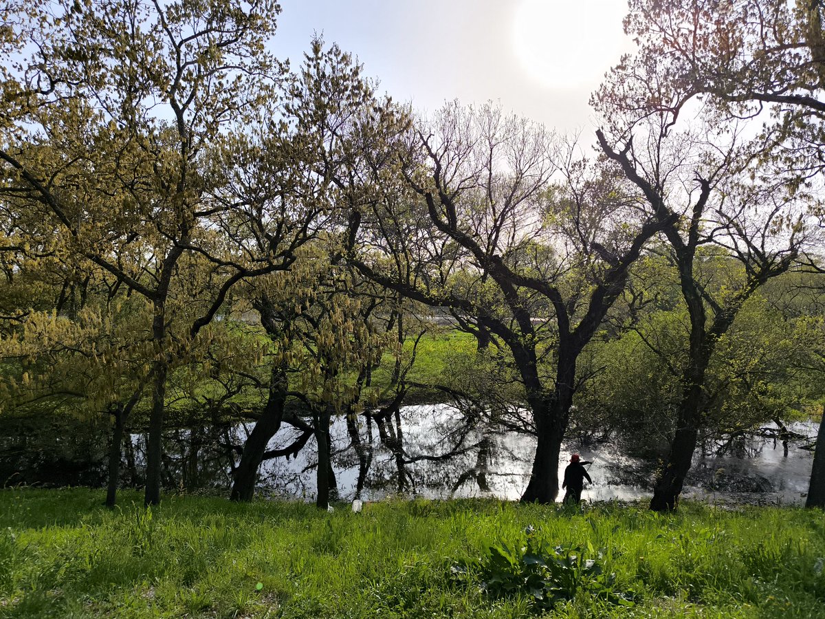 root(@root_9) - Twilog (ツイログ)