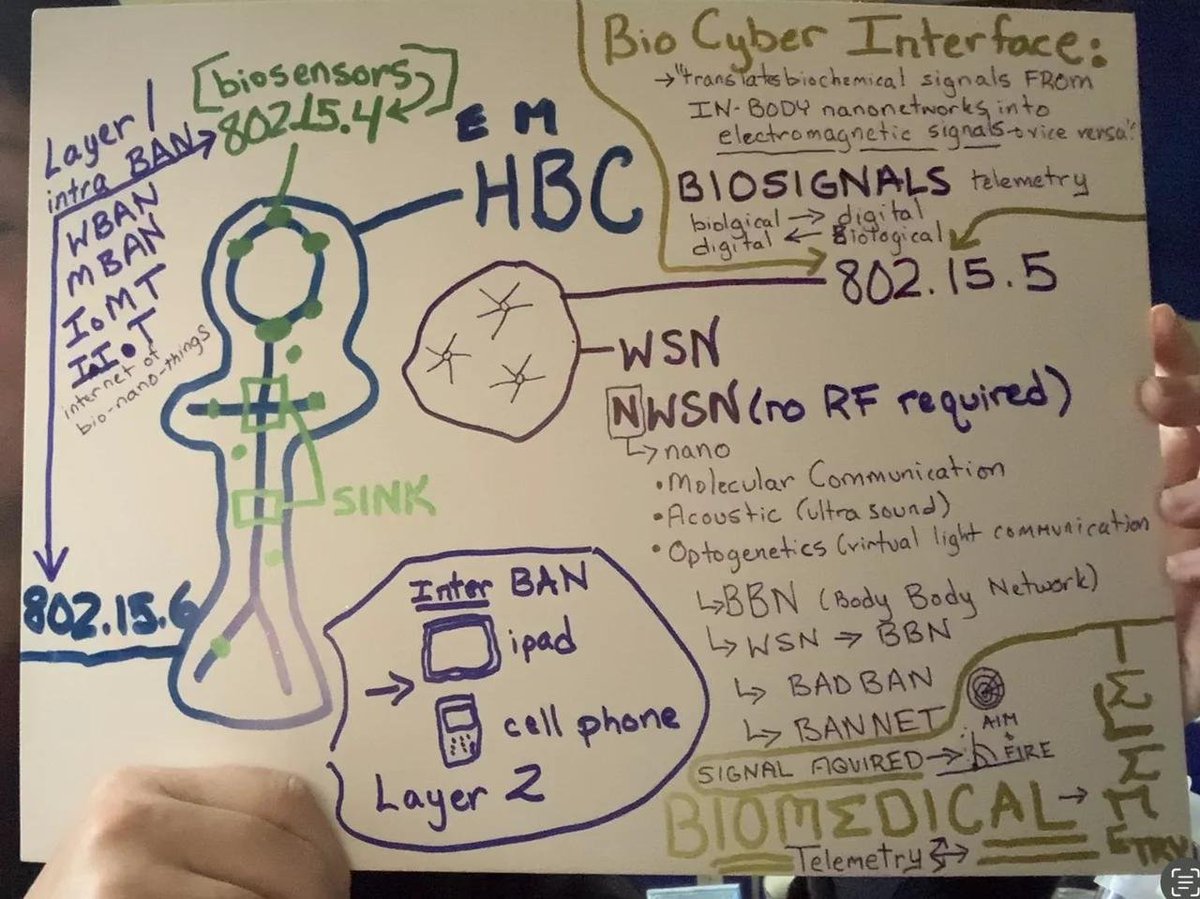 Thread by @CorinneNokel on Thread Reader App – Thread Reader App