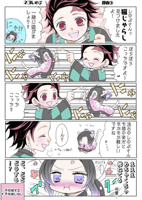 🐈🦋ちゃんで新規描きたいけど、ぬこちゃん飼ったことないからネタが思い.. | sai kmt垢＊リプ返🐢💦💦 さんのマンガ | ツイコミ(仮)