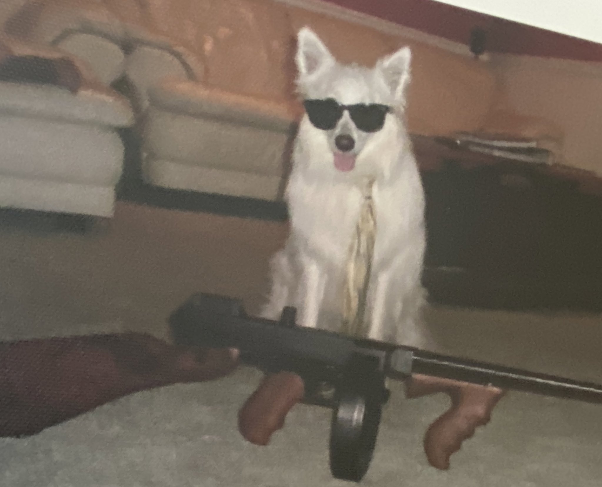 Dog Gun Memes Rusty And Me