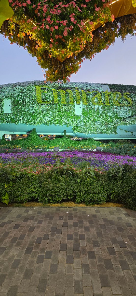 🌟 Let's embark on an 12-day odyssey through the dazzling cities of ...