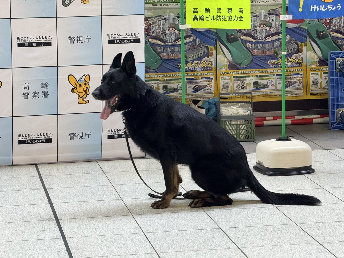 ippei ogiwara(@iogi) - Twilog (ツイログ)