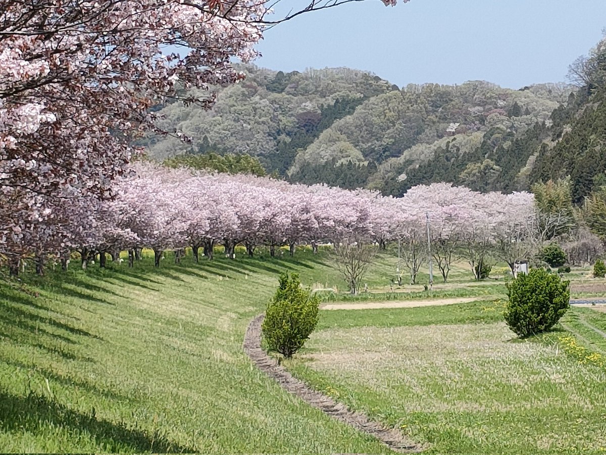 Takashi Hatai(@takashi_hatai) - Twilog (ツイログ)