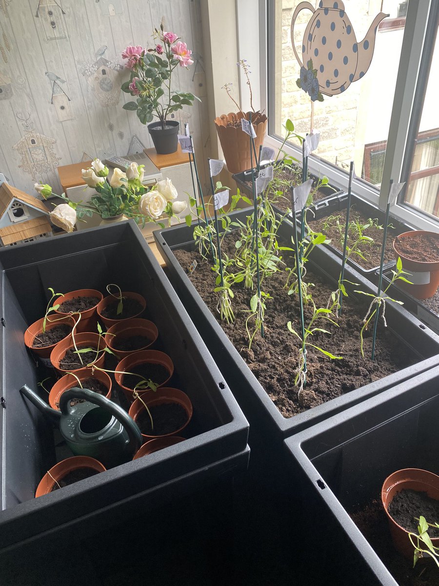 Tolson Grange care home in Dalton, Huddersfield | Anchor