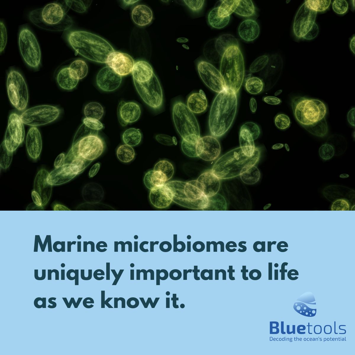 Beneath the surface: a new view on marine microbiome sampling ...