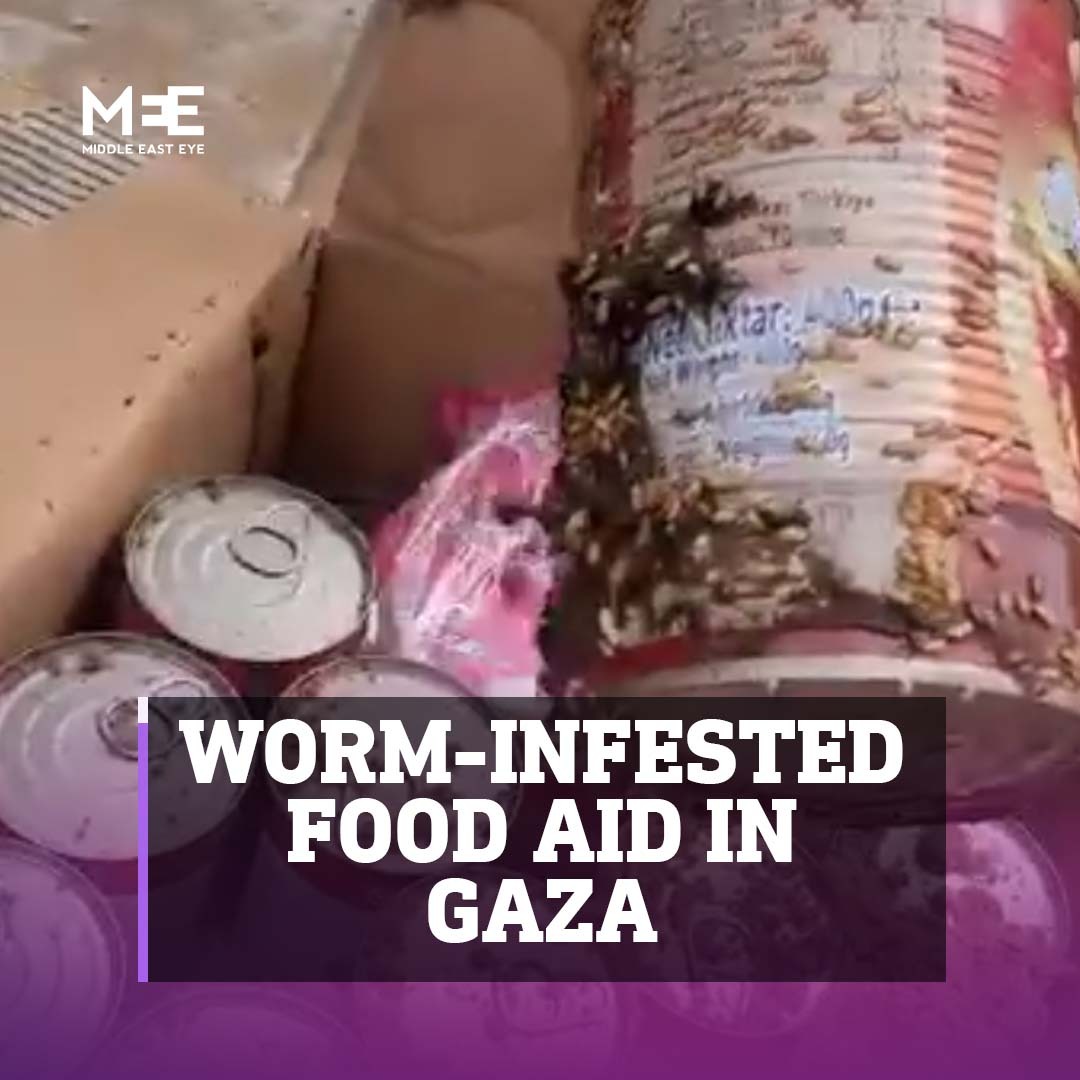 Worm Infested Youtube