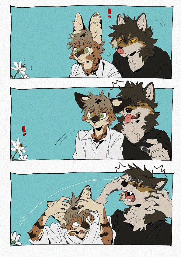 wintom (@windu_utom) / Posts / X