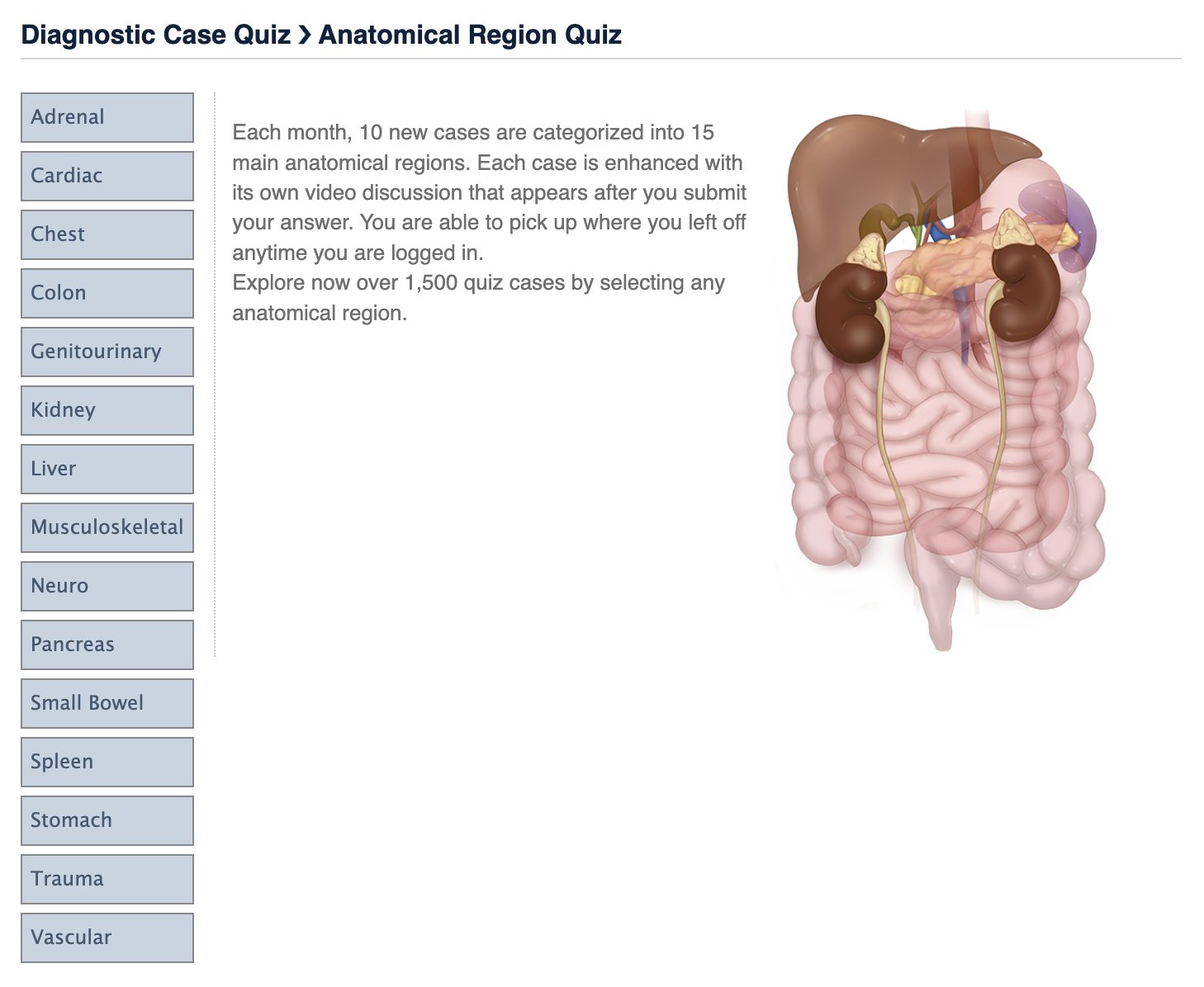 Region Anatomy Flank Pain Information | Mount Sinai New York