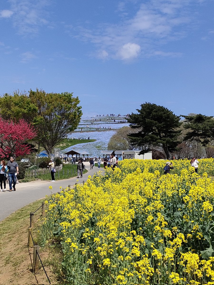 Takashi Hatai(@takashi_hatai) - Twilog (ツイログ)