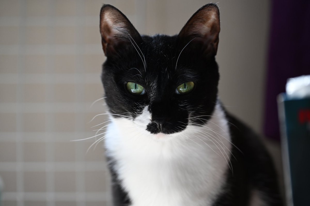 kuzawa(@kuzawa_bolete) - Twilog (ツイログ)