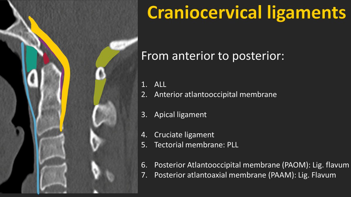 Tectorial Membrane Mri