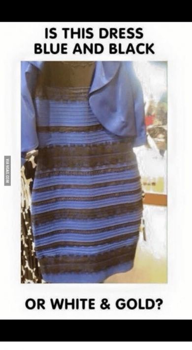 Blue White Dress Memes The Dress': More Than Just A Meme | By Olessia