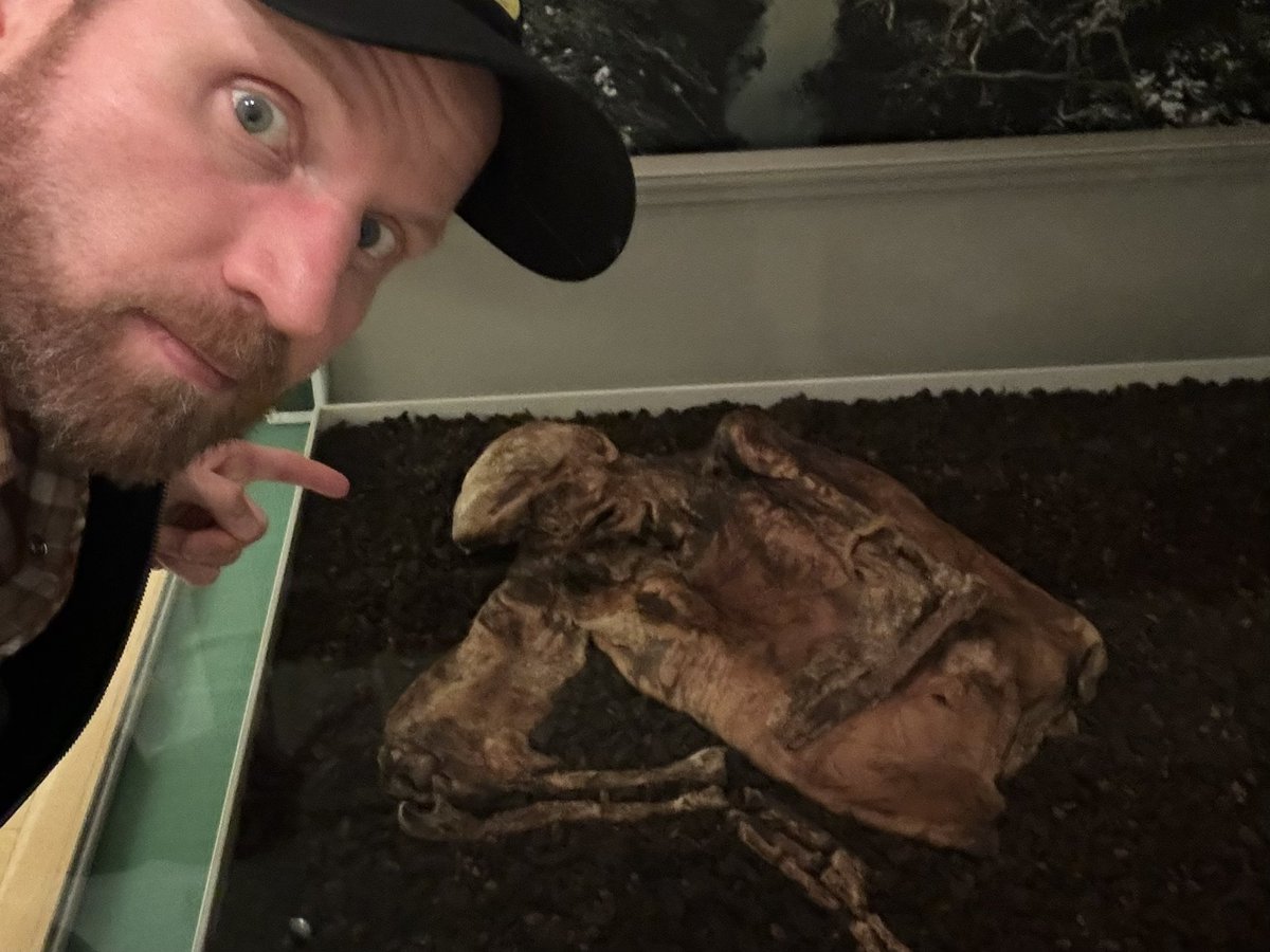 Lindow Man Tattoos 269 Lindow Stock Photos, High Res Pictures, And