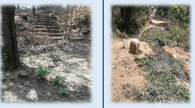 ASI report card special Spot the tiny % at the bottom? In 20-21 ...