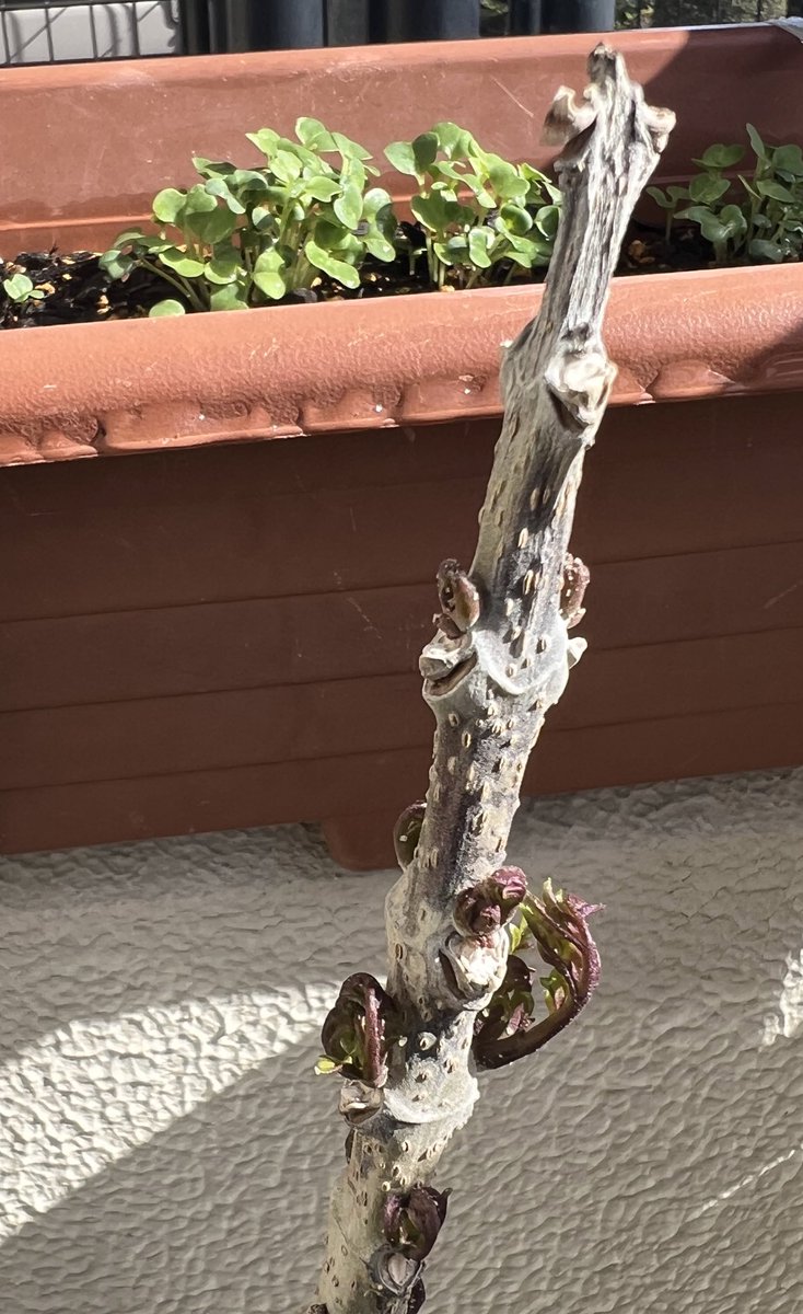 EventBank（イベントバンク）【公式】(@i_eventbank) - Twilog (ツイログ)