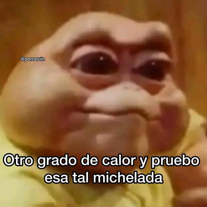 Memes Grados
