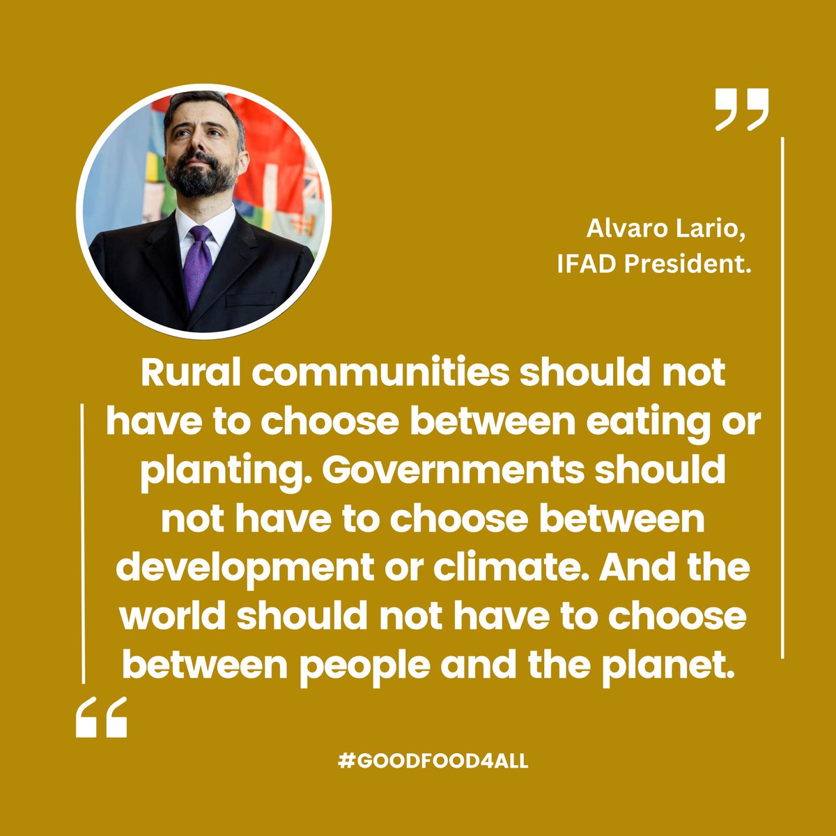 International Year of Millets | SDG2 Advocacy Hub