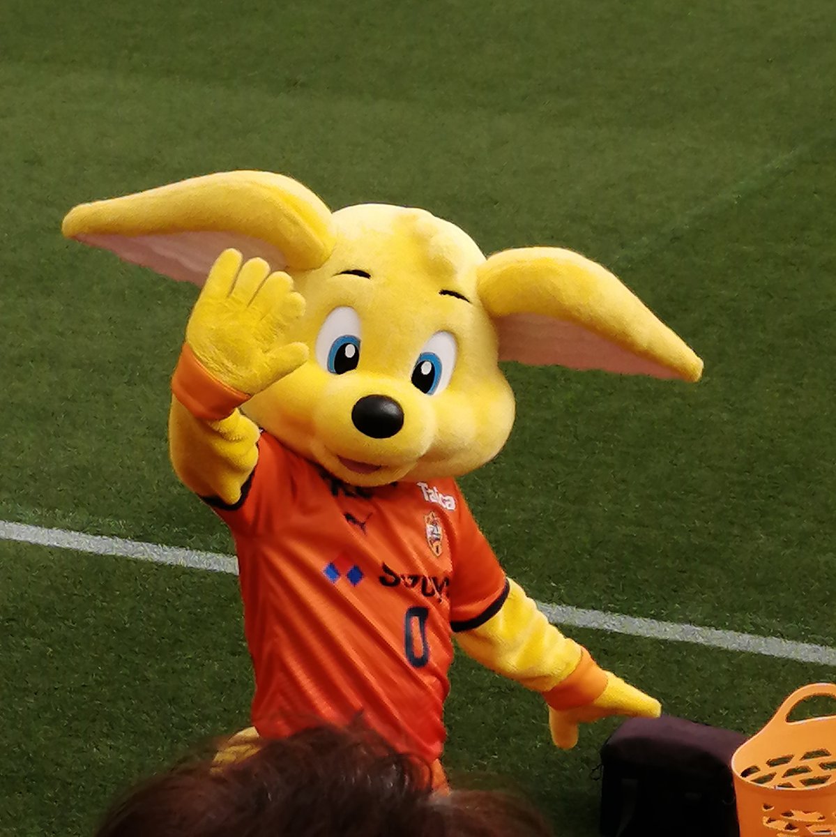 𝕤𝕒𝕚🏴‍☠️(@saimoon) - Twilog (ツイログ)