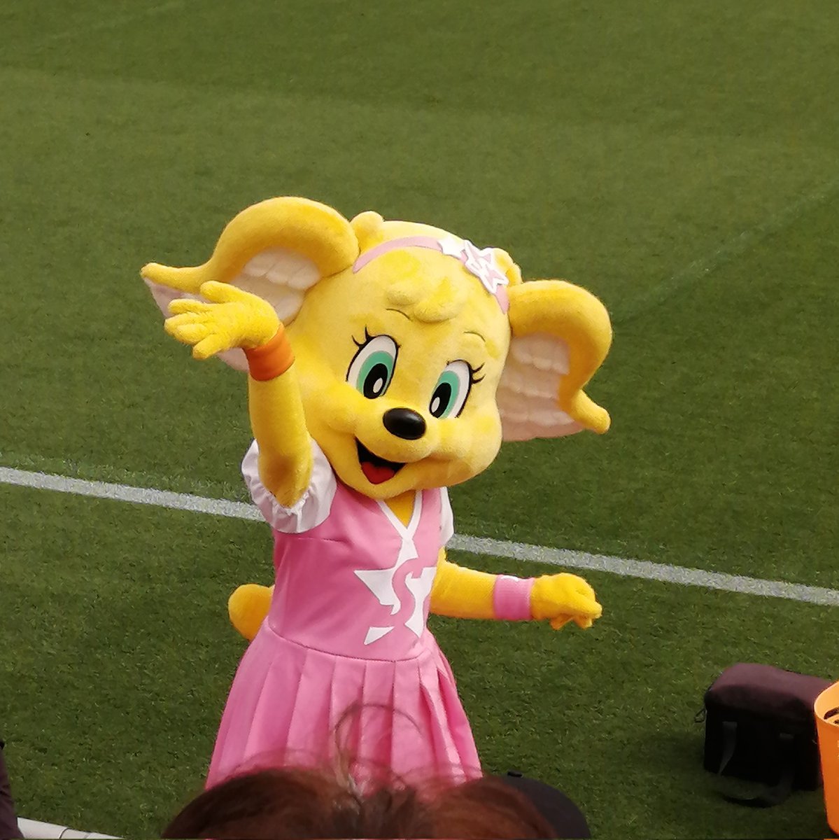 𝕤𝕒𝕚🏴‍☠️(@saimoon) - Twilog (ツイログ)