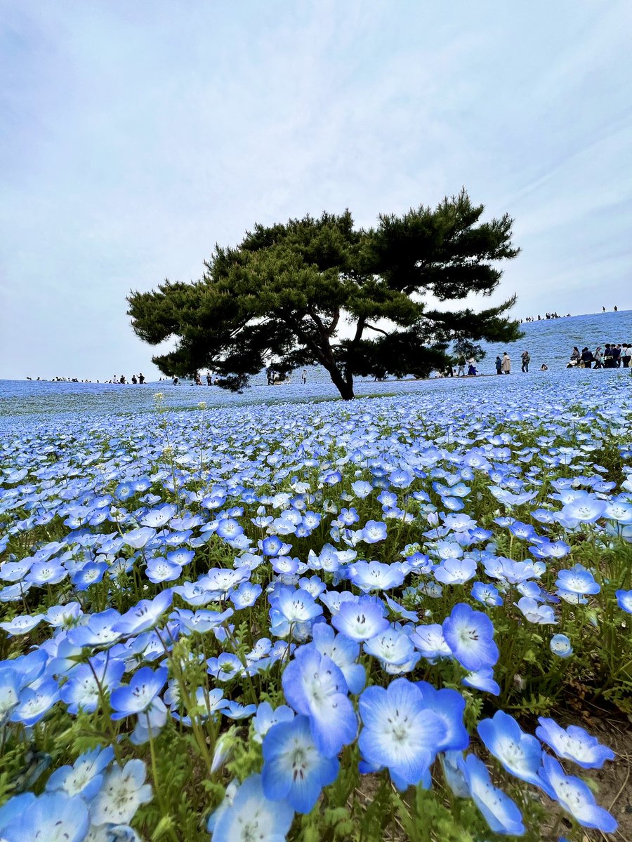 TG(@vectortg) - Twilog (ツイログ)