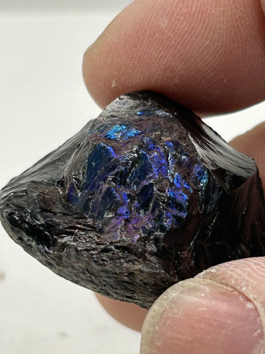 月瀬蒼羽(@BLUE_Wing_zero) - Twilog (ツイログ)