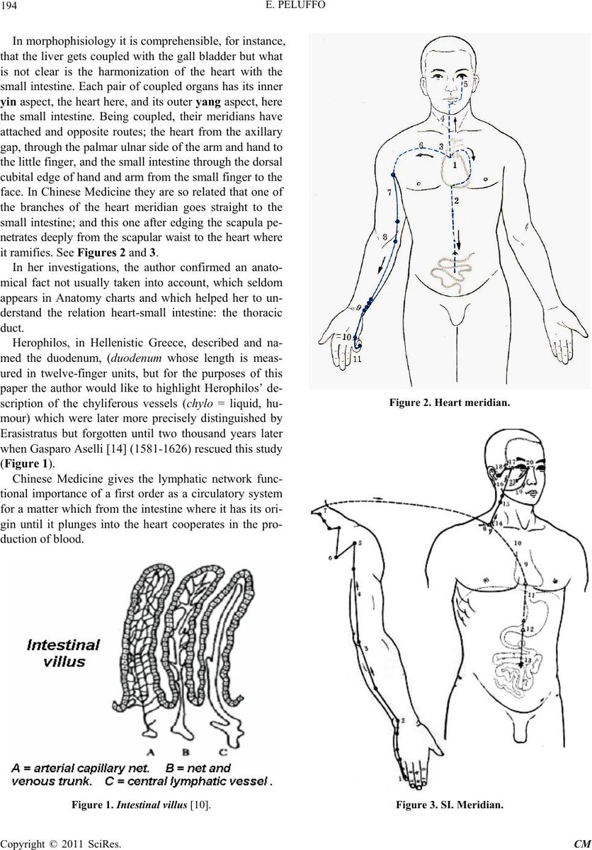 The energy meridians of Traditional Chinese Medicine are an intricate ...