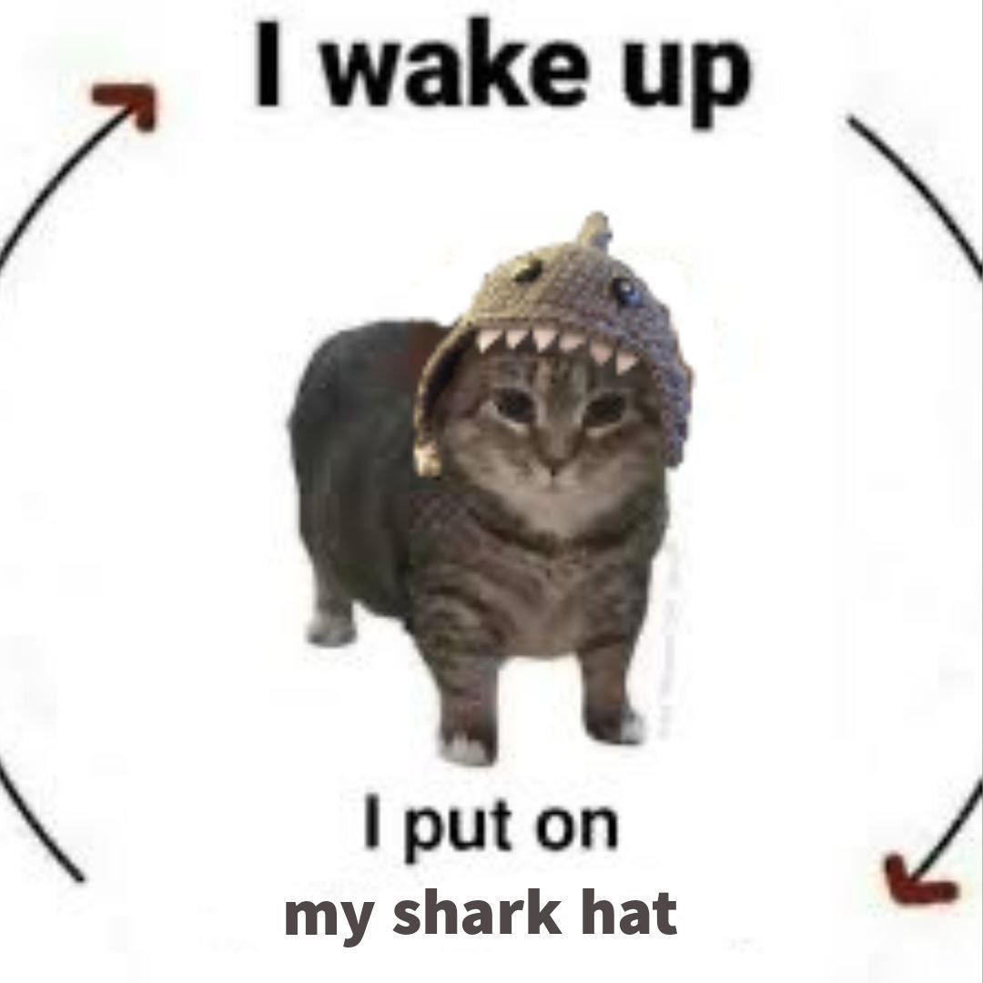 Shark Cat Memes Cute Cat Getting Eaten By Shark>3