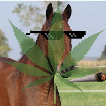Horse Weed Meme Rastafari Otter Hippie Stoner Smoking Weed Sticker