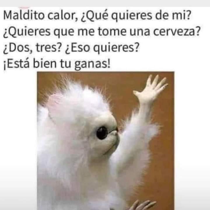 Maldito Meme Maldito Rock And Roll | Jesús Lara