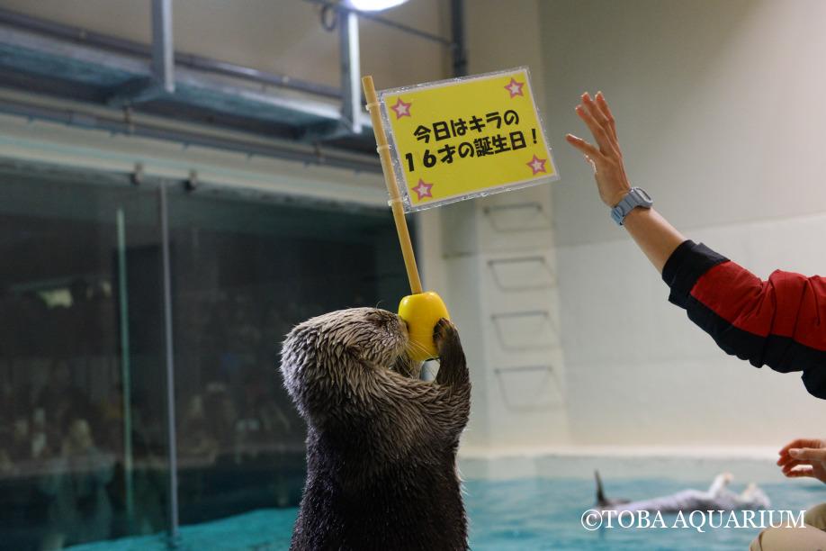 こまき(@eta_aurigae) - Twilog (ツイログ)