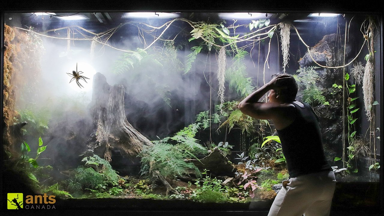 Antscanada I Just Wanna Make Cool Things! Leviathan Themed Ant