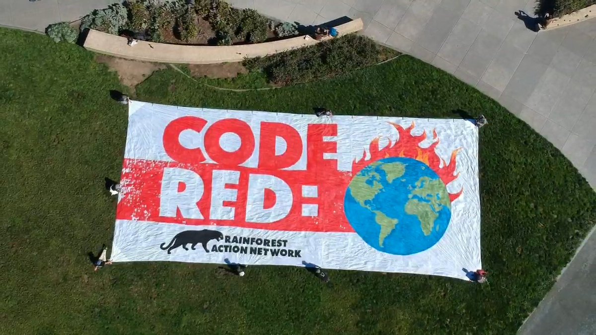 Rainforest Action Network Logo Anatomy Of A Corporate Campaign: