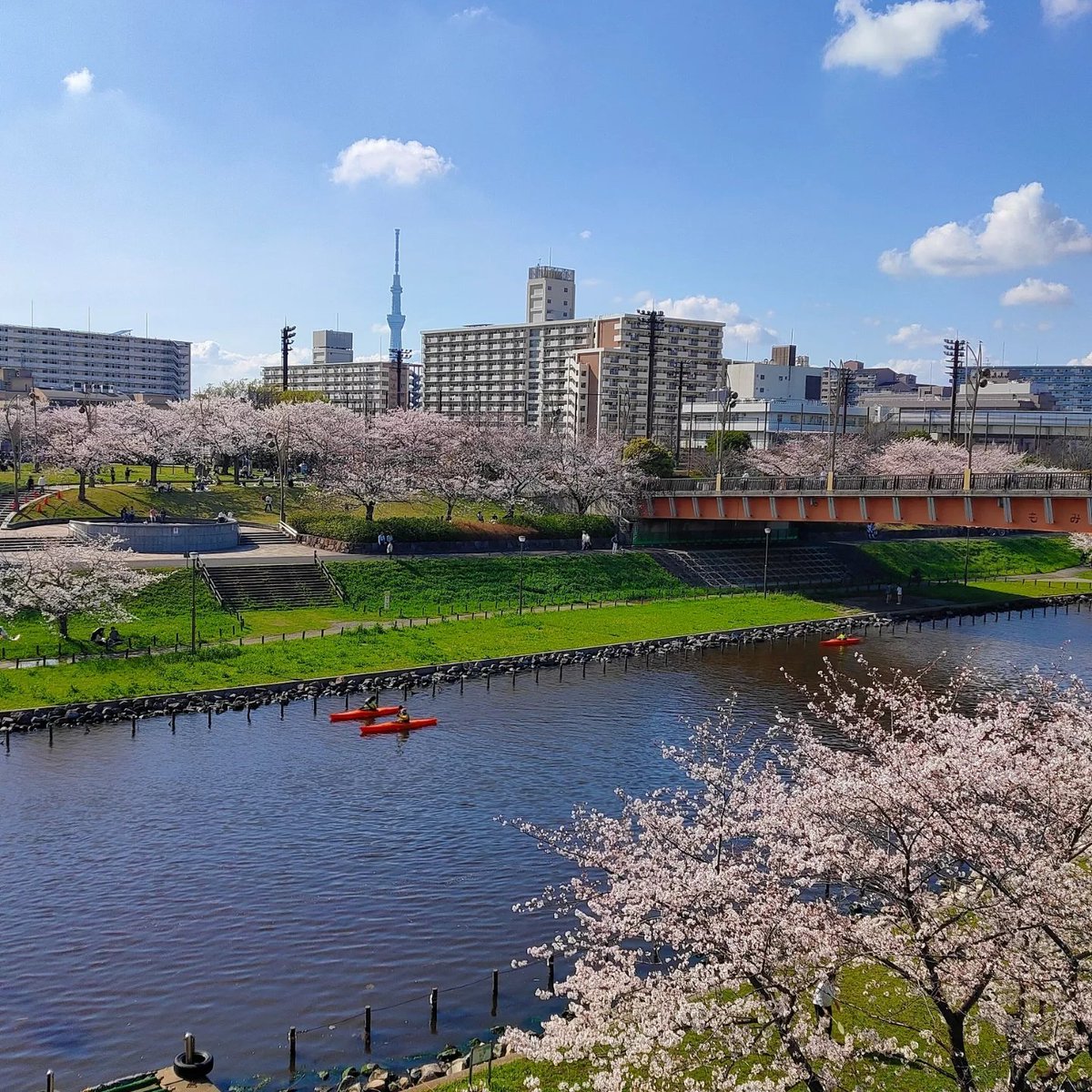 マダムちえこ♂ファンサイト告知版(@chieko_cd) さんの裏垢画像・動画 – 裏垢女子ランキングナビ