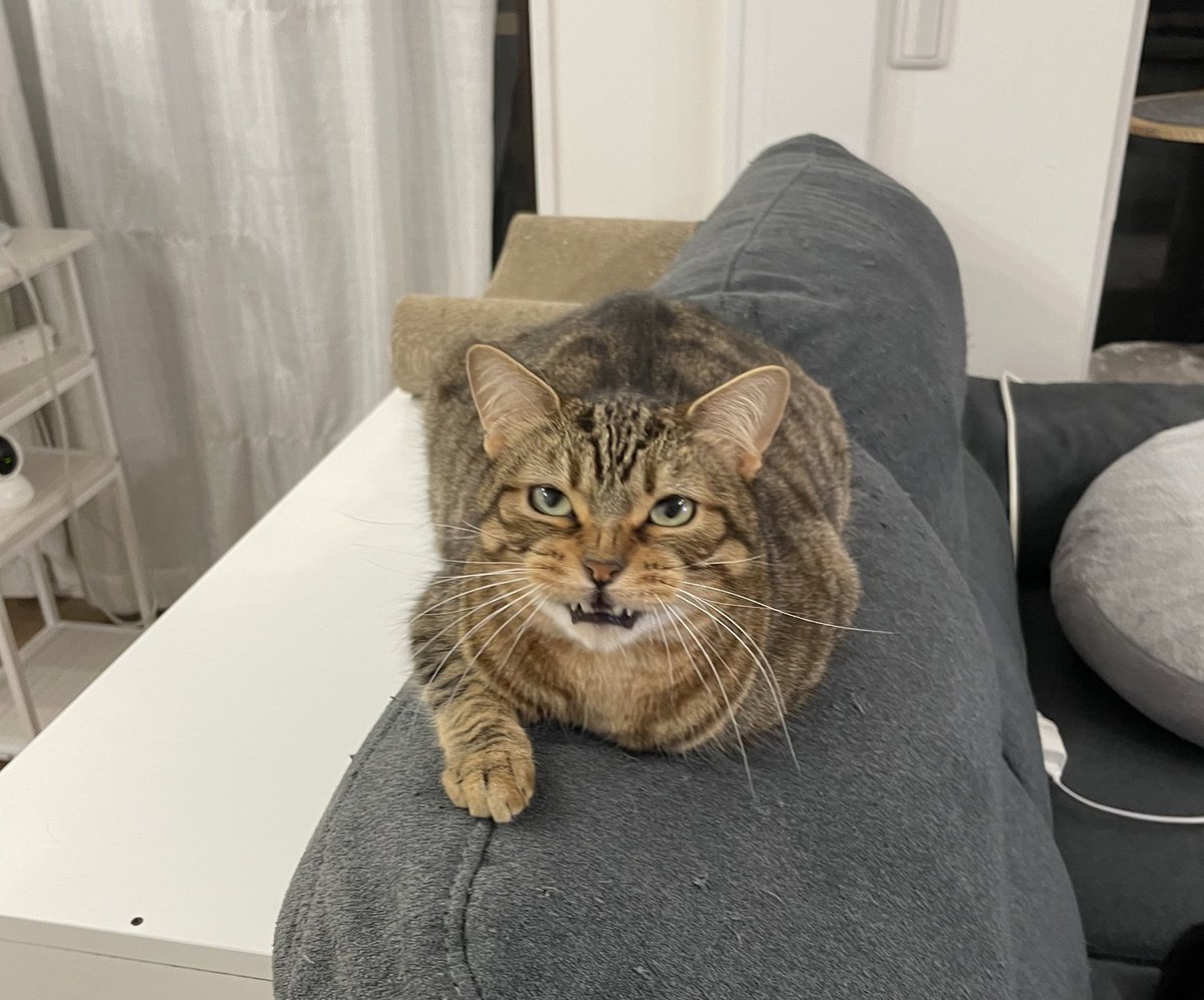 みなと🍩🐻(@mymt_m) - Twilog (ツイログ)