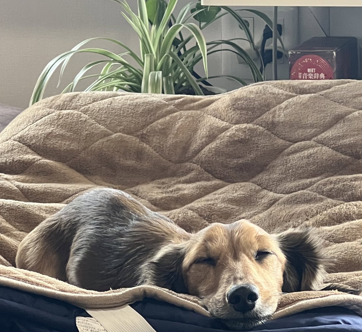 EventBank（イベントバンク）【公式】(@i_eventbank) - Twilog (ツイログ)