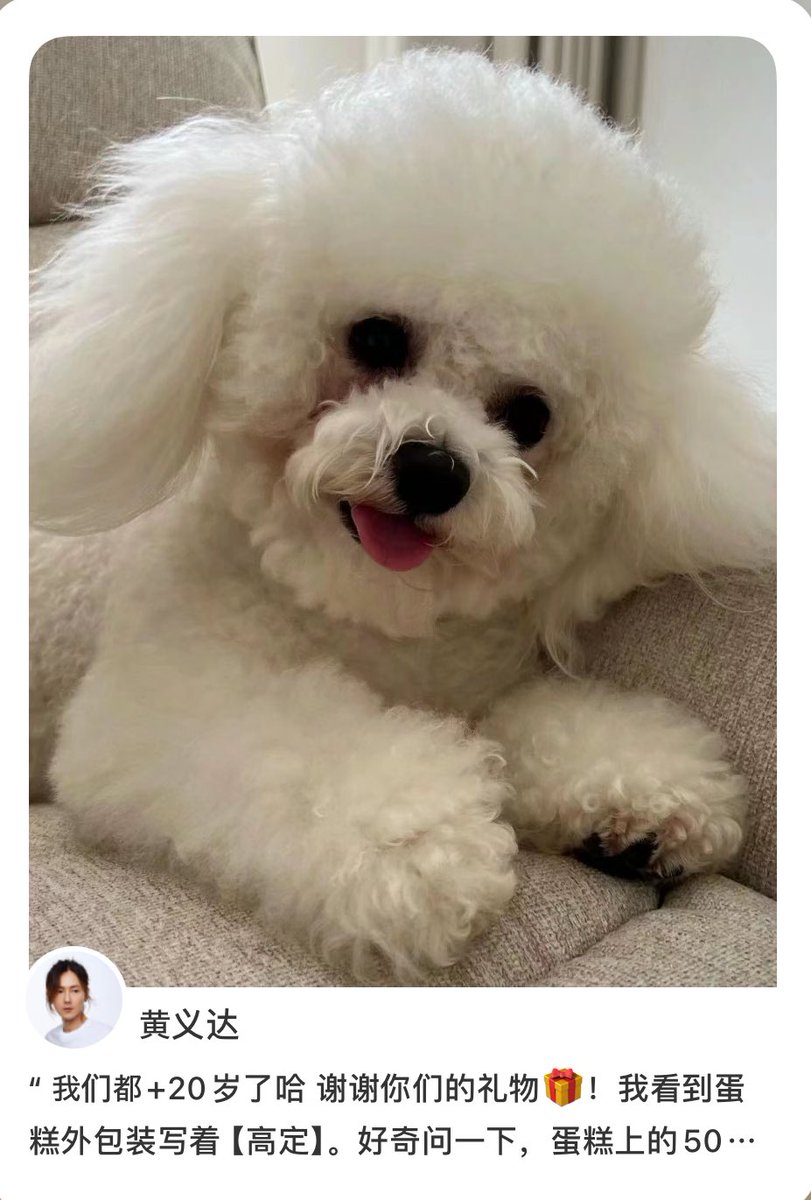 ちーず(@1zhizi) - Twilog (ツイログ)