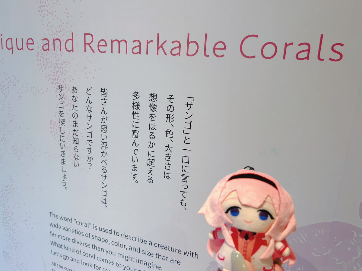 みなと🍩🐻(@mymt_m) - Twilog (ツイログ)