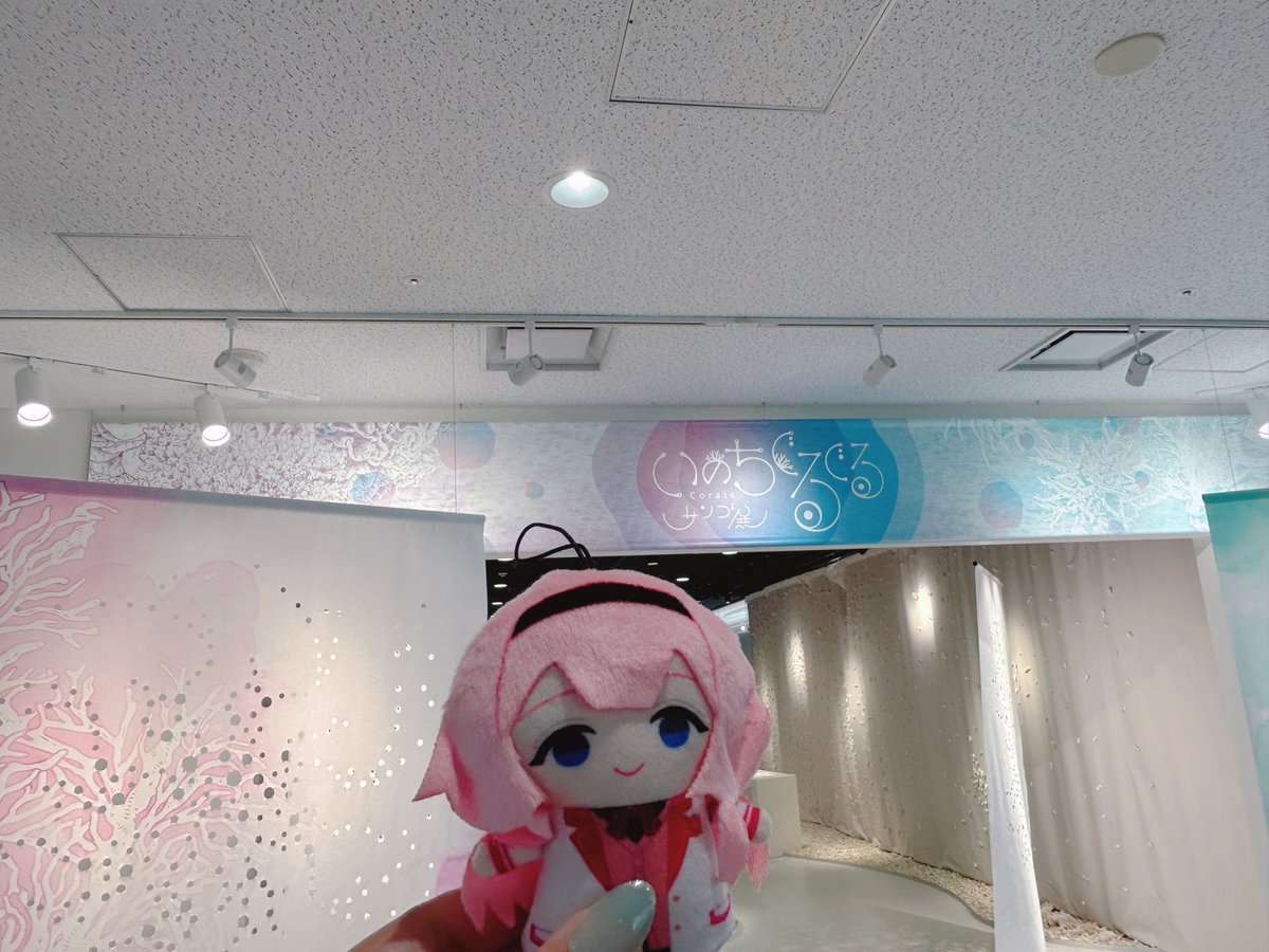 みなと🍩🐻(@mymt_m) - Twilog (ツイログ)