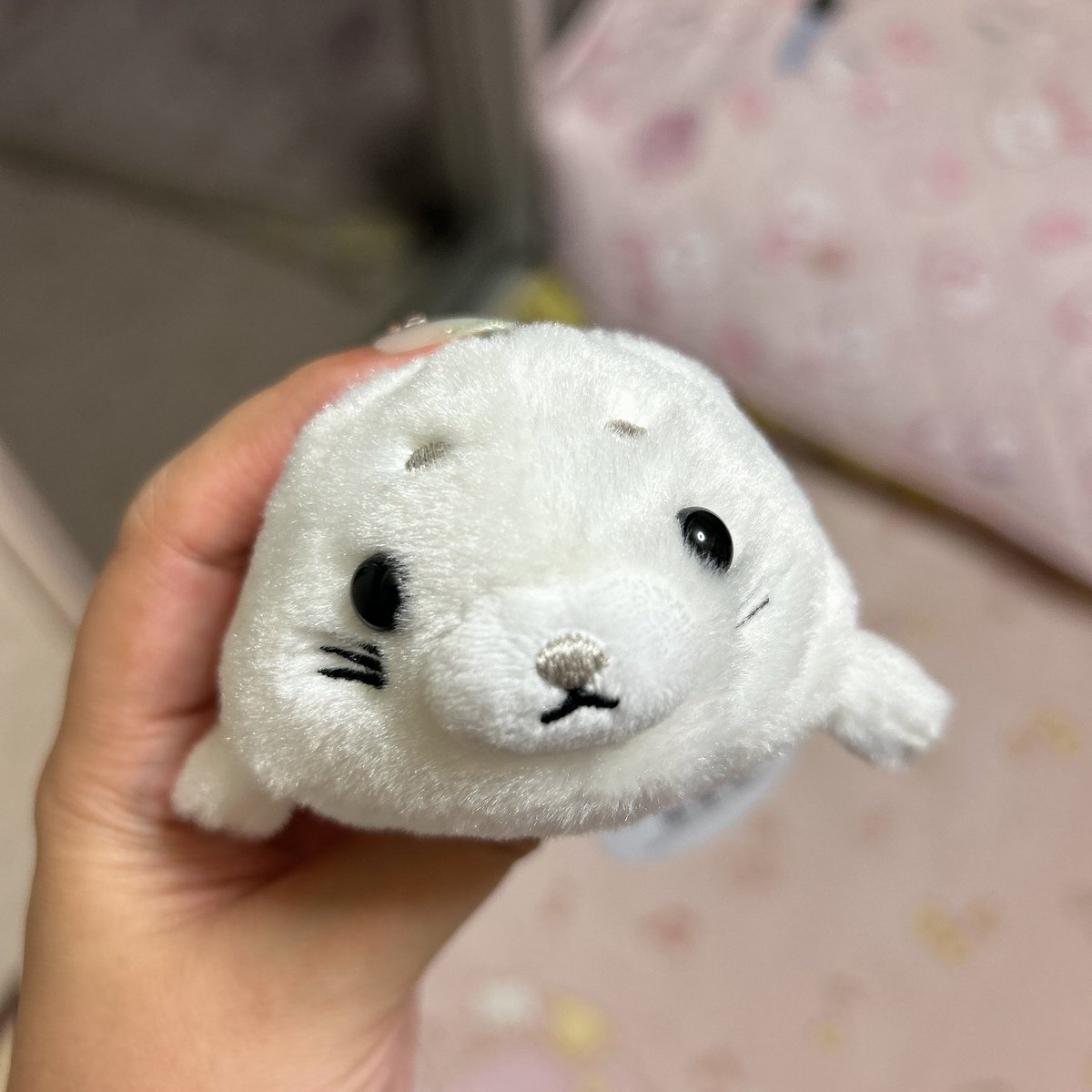 みなと🍩🐻(@mymt_m) - Twilog (ツイログ)