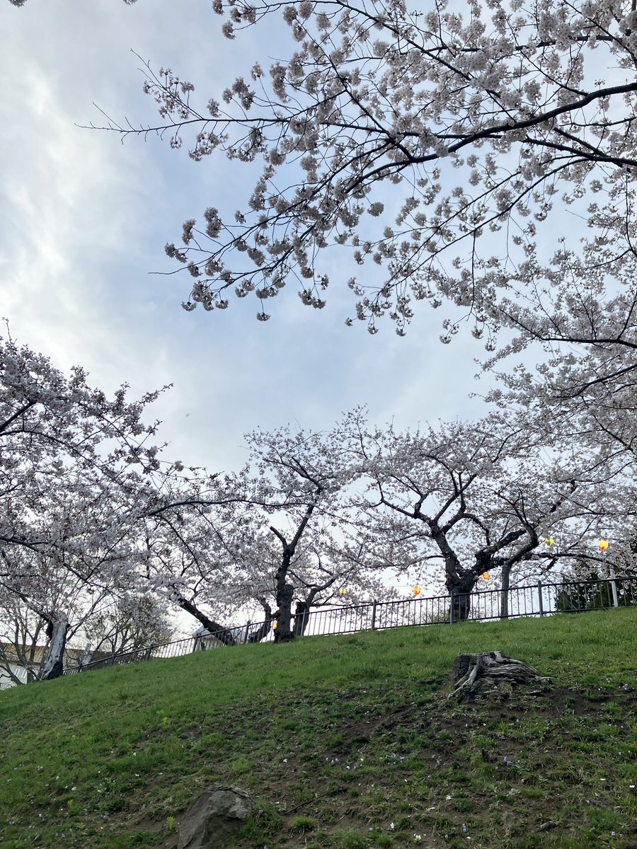 ハナ（ねむい）(@mixjuice_hana) - Twilog (ツイログ)