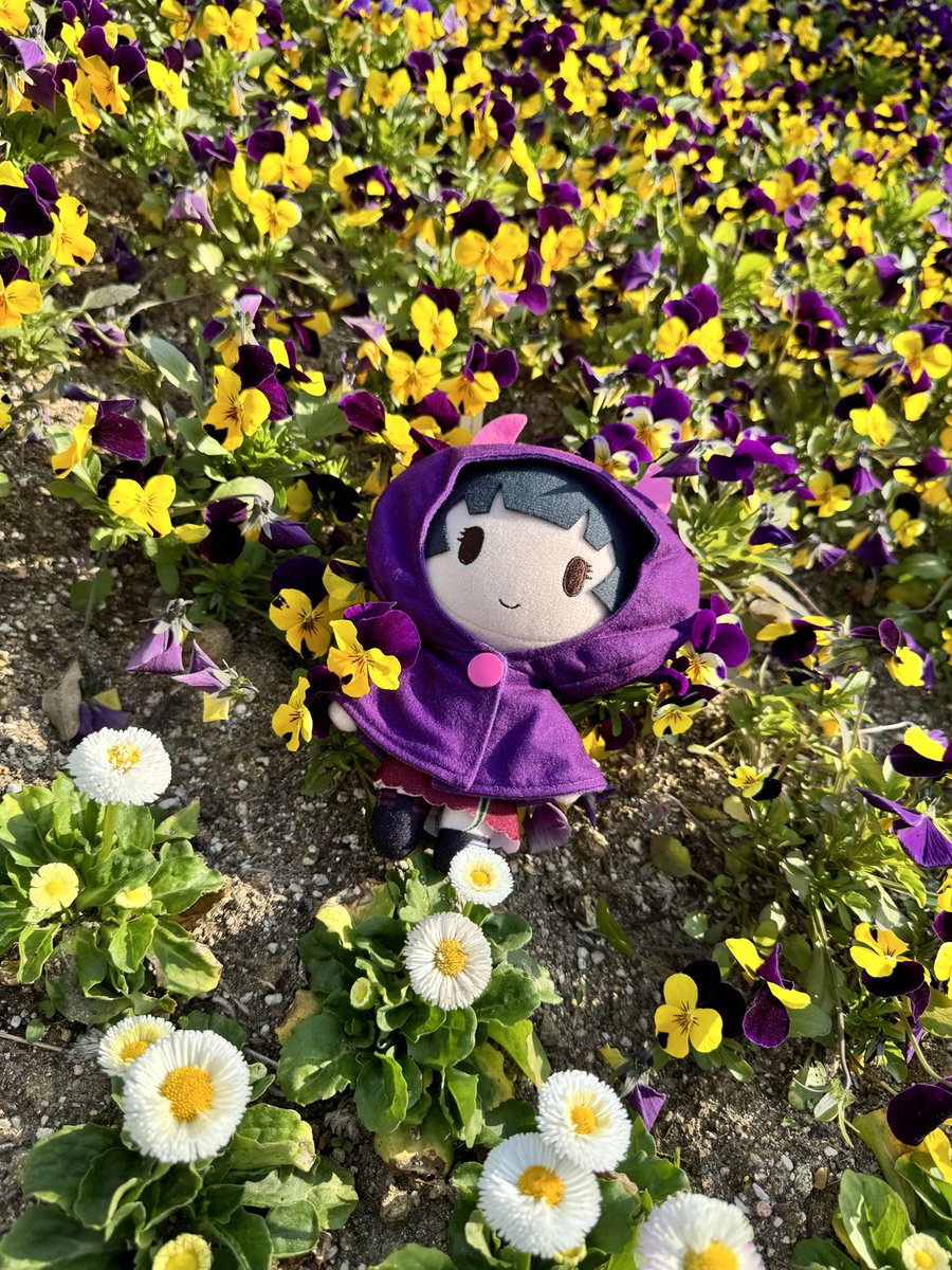 有明(@ariake) - Twilog (ツイログ)