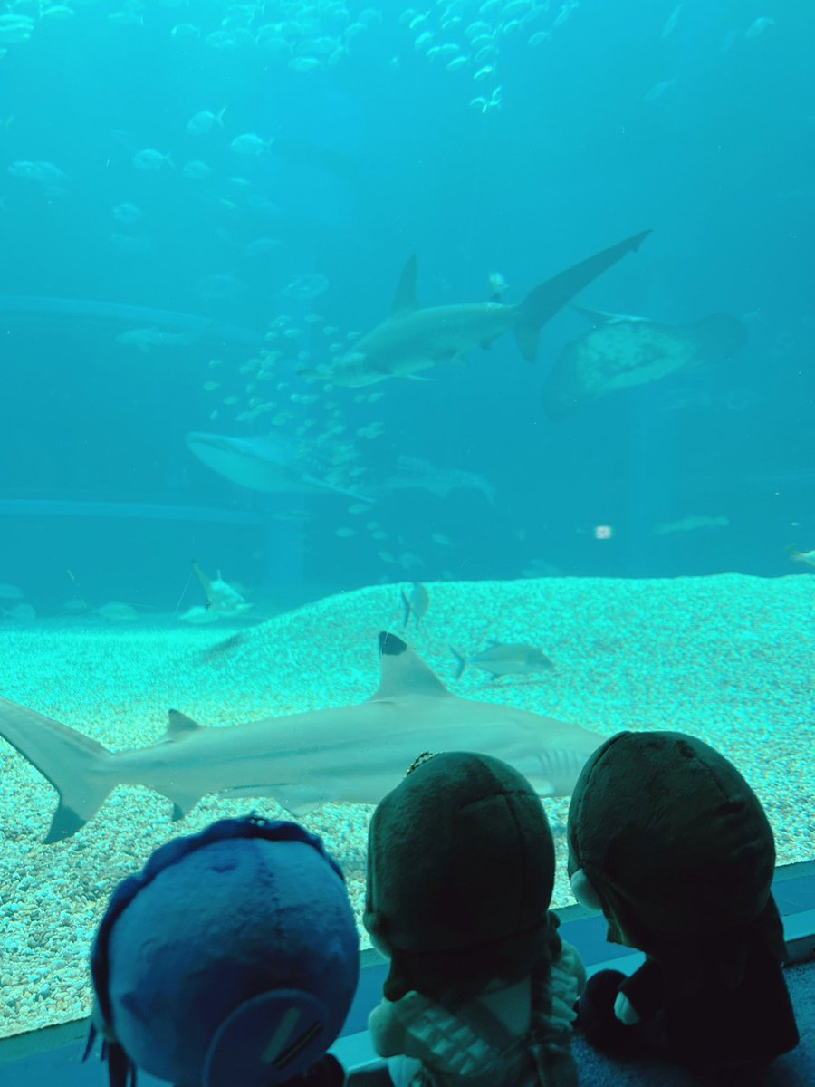 みなと🍩🐻(@mymt_m) - Twilog (ツイログ)