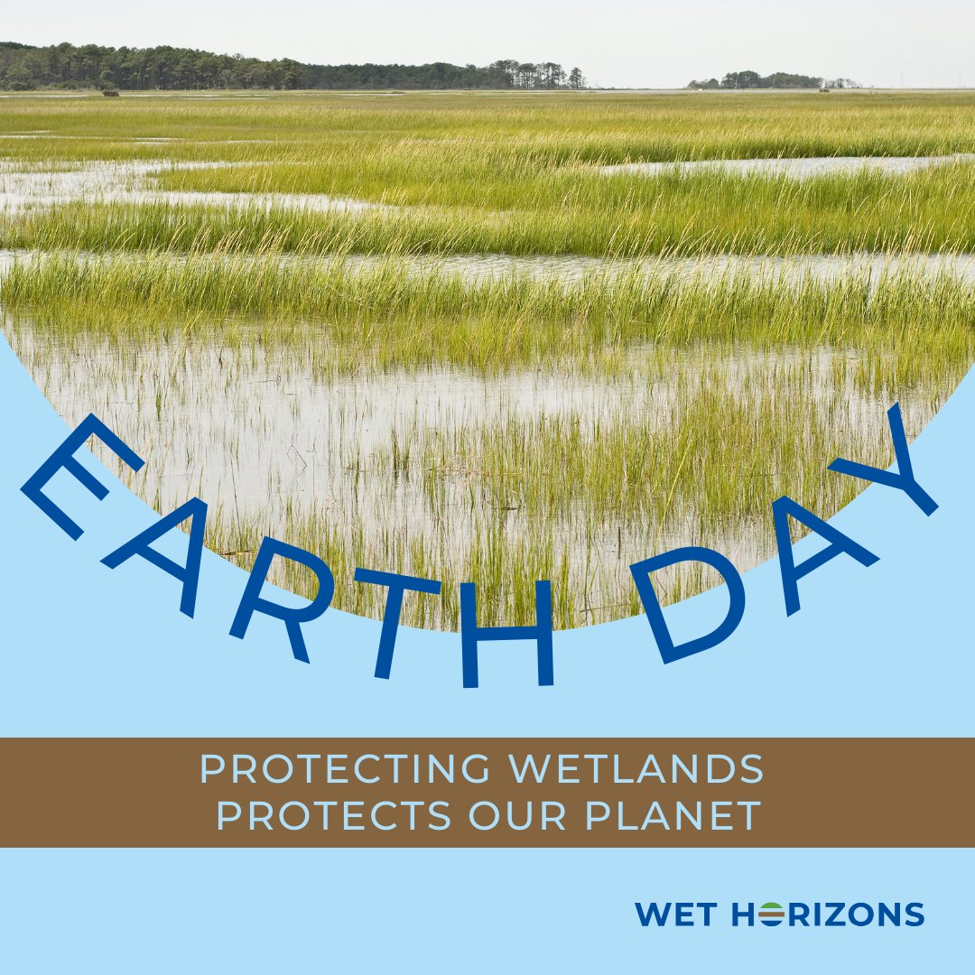 Horizon Europe Wetlands Restoration Project- Wethorizons