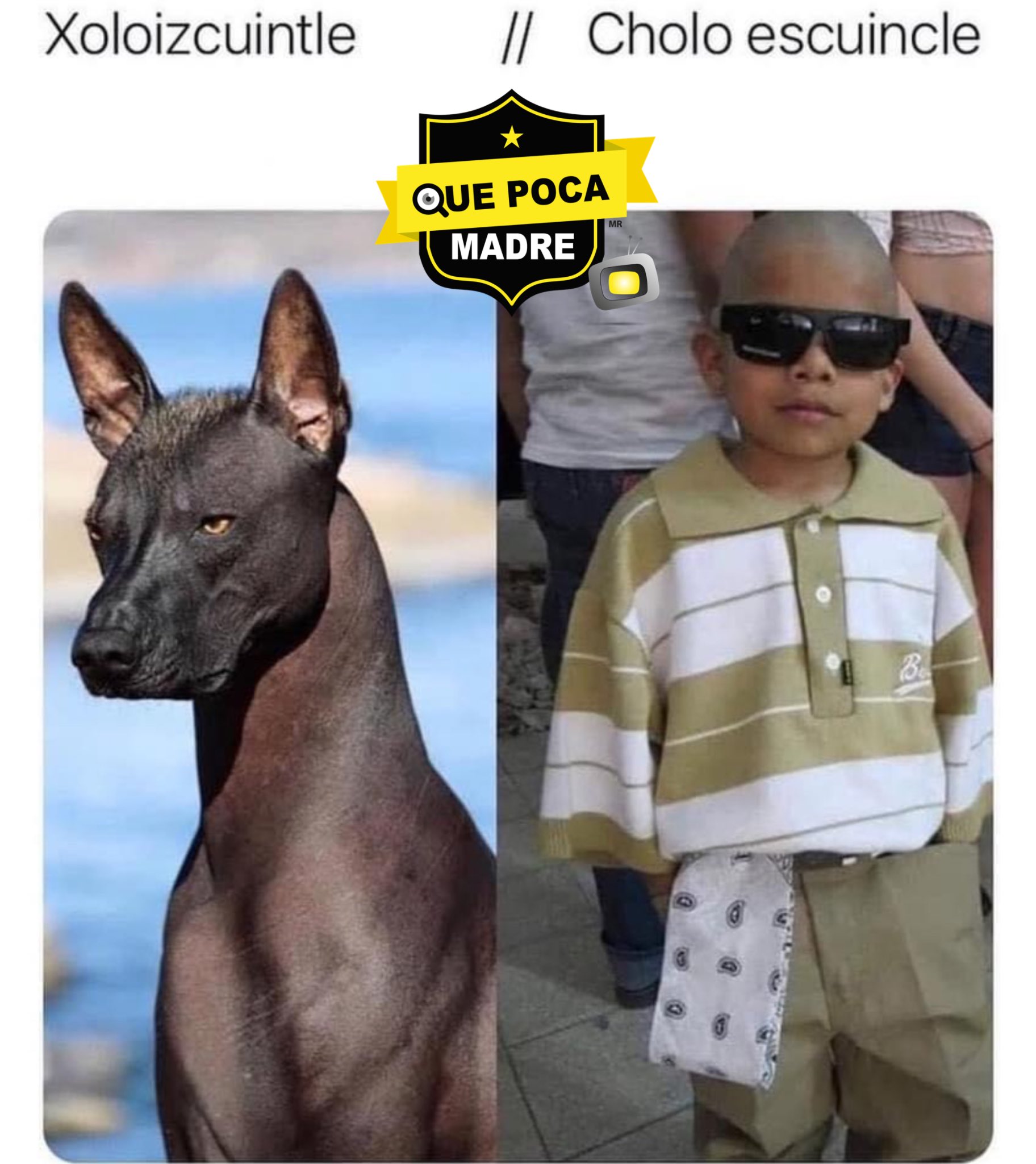 Memes De Cholos Gafas Profile For Feel Like A Cholo